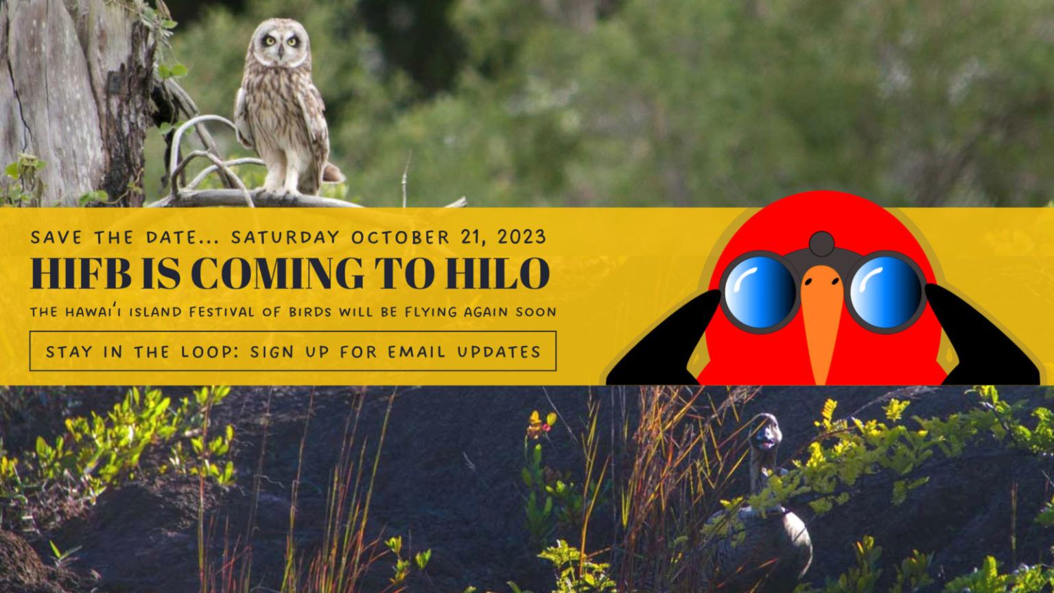 Hawaiʻi Island Festival of Birds