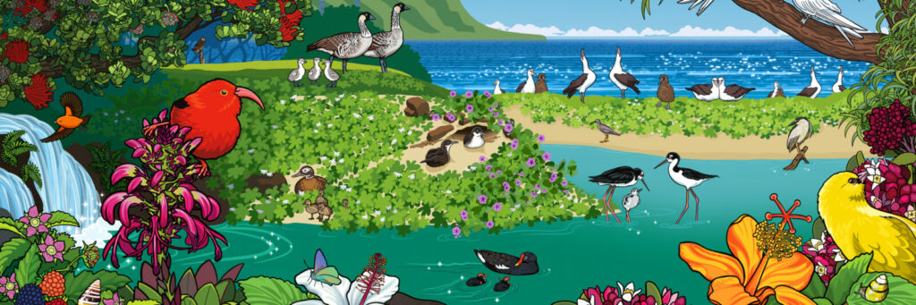 All About Kōlea (Pacific Golden-Plover) - Hawaiʻi Island Festival of Birds