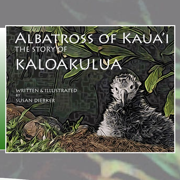 HIFB Virtual Marketplace - Hawaiʻi Island Festival of Birds