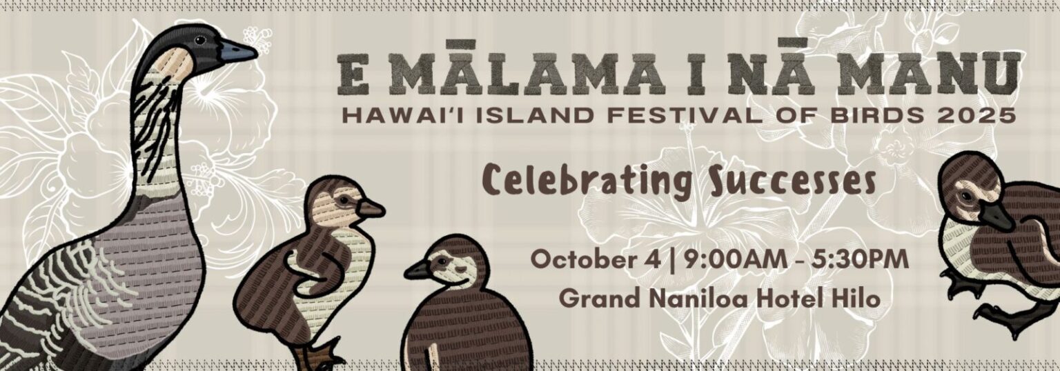Hawaiʻi Island Festival of Birds 2025 - Hawaiʻi Island Festival of Birds